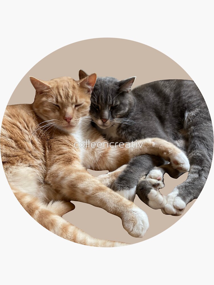 "Ginger and Grey Cute Cuddling Cats" Sticker for Sale by colleencreativ ...