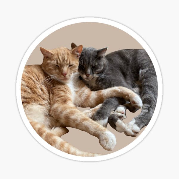 "Ginger and Grey Cute Cuddling Cats" Sticker for Sale by colleencreativ ...