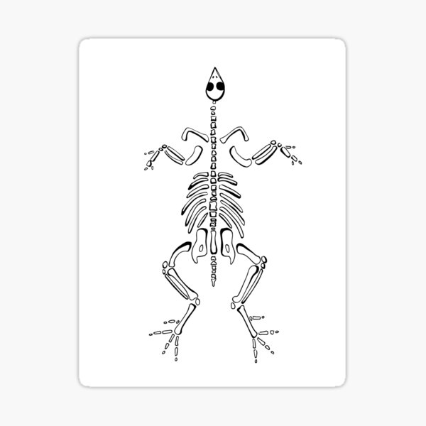 "chicken skeleton Drawing, line art, adult coloring page, digital art ...