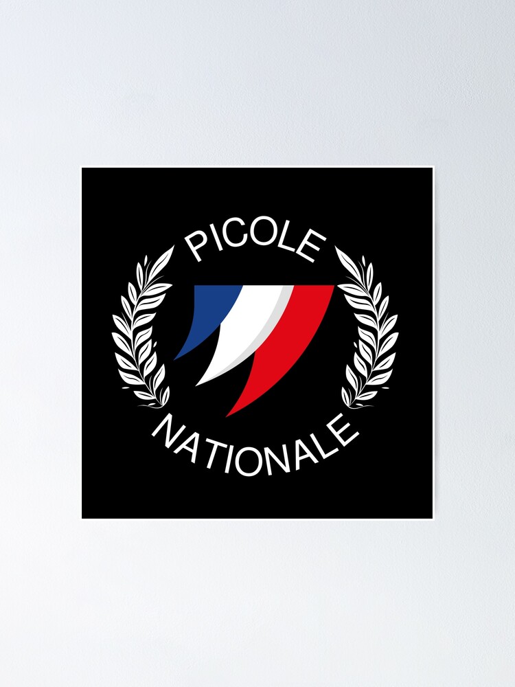 "National Pickle" Poster for Sale by Stenline-France | Redbubble