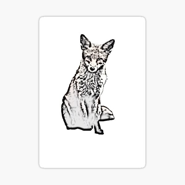 "Black & White Fox" Sticker by NxFWorkshop | Redbubble