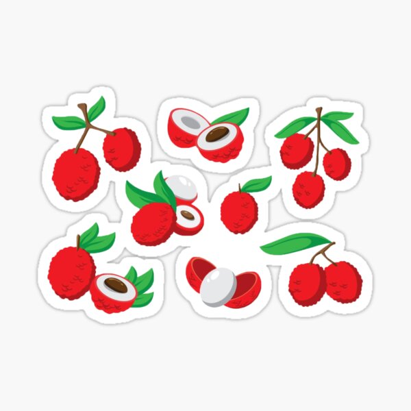 "Lychee Print, Exotic Chinese Fruit" Sticker for Sale by sezyoo | Redbubble