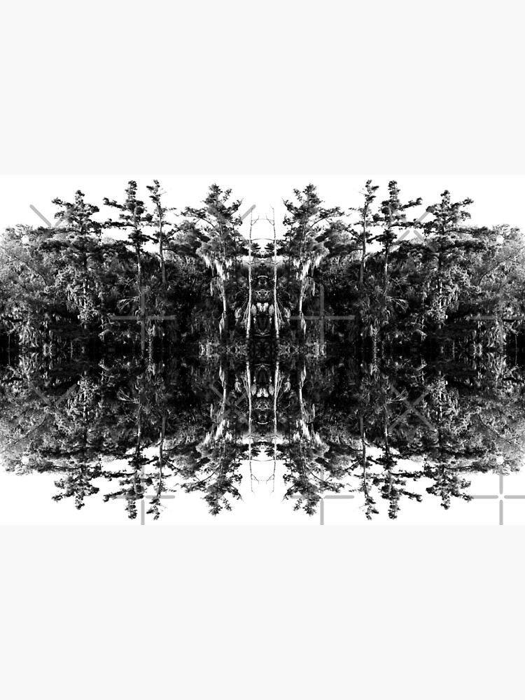 "Swamp Trees (Black and White)" Poster for Sale by StudioBlack | Redbubble