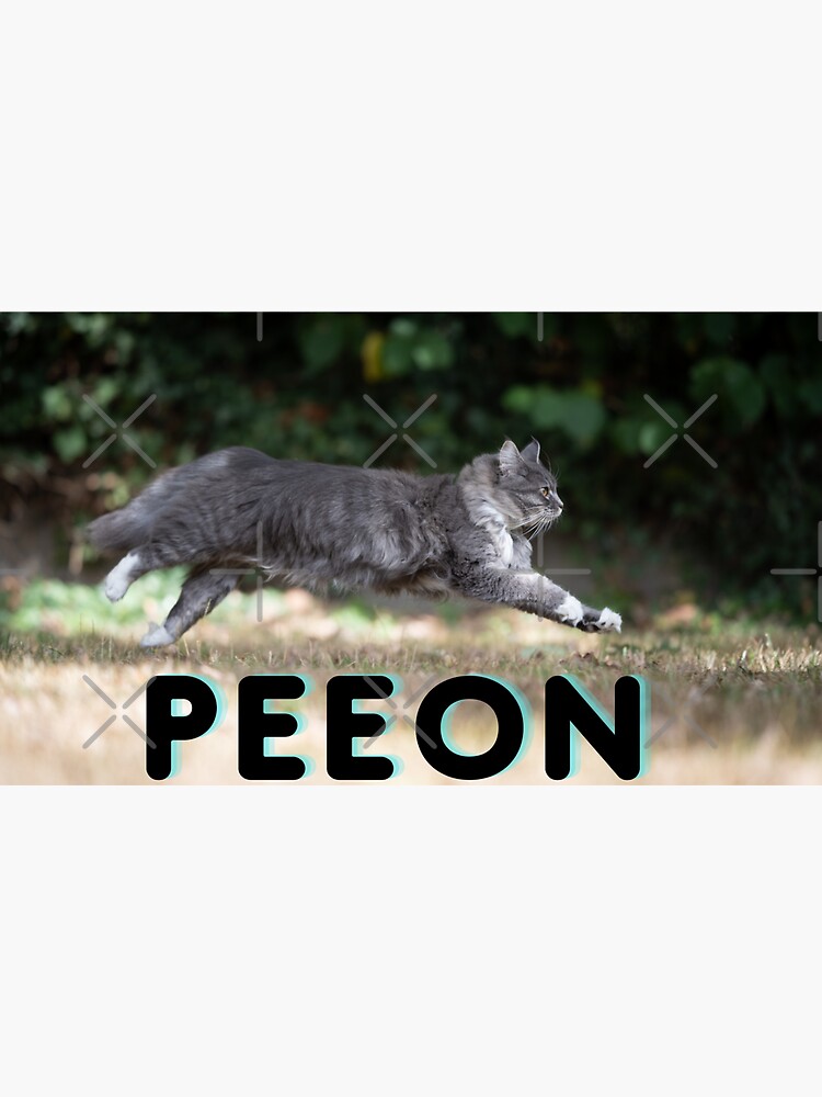"FAST RUNNING CAT (PEEON)" Sticker by RobbiesMusic | Redbubble