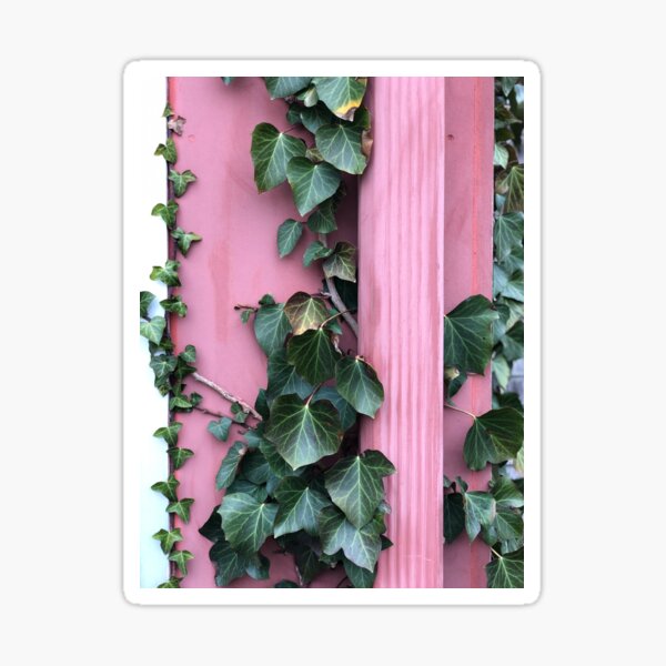 "Vine" Sticker for Sale by Missycrow | Redbubble