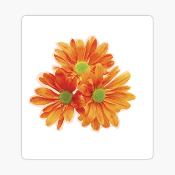 Playback Gifts & Merchandise | Redbubble