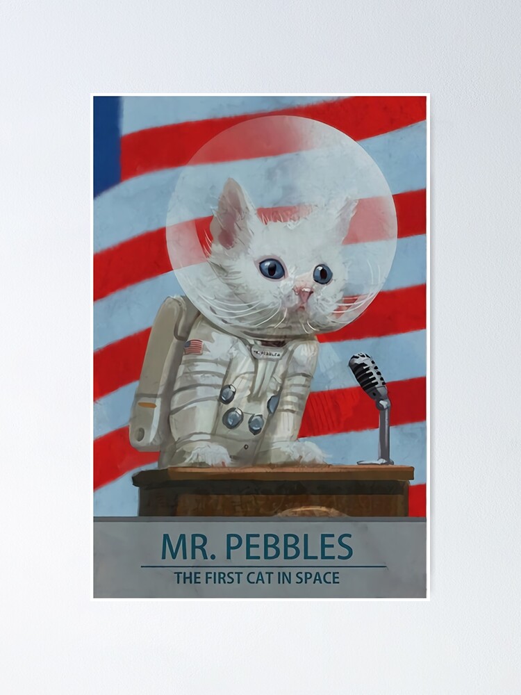 "Fallout 4 Mr. Pebbles the Space Cat Poster" Poster for Sale by ...