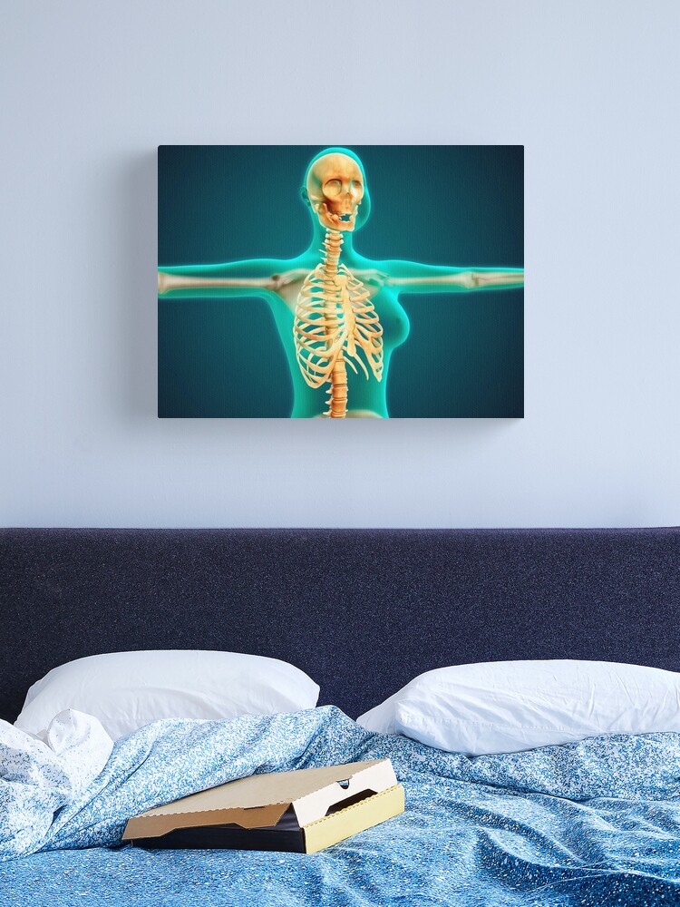 Xray View Of Female Upper Body Showing Rib Cage Spine The Ribs Rib