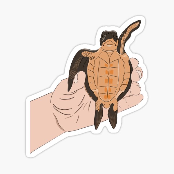 "Turtle Says Hello Cute Animals" Sticker by BigFatMistake | Redbubble
