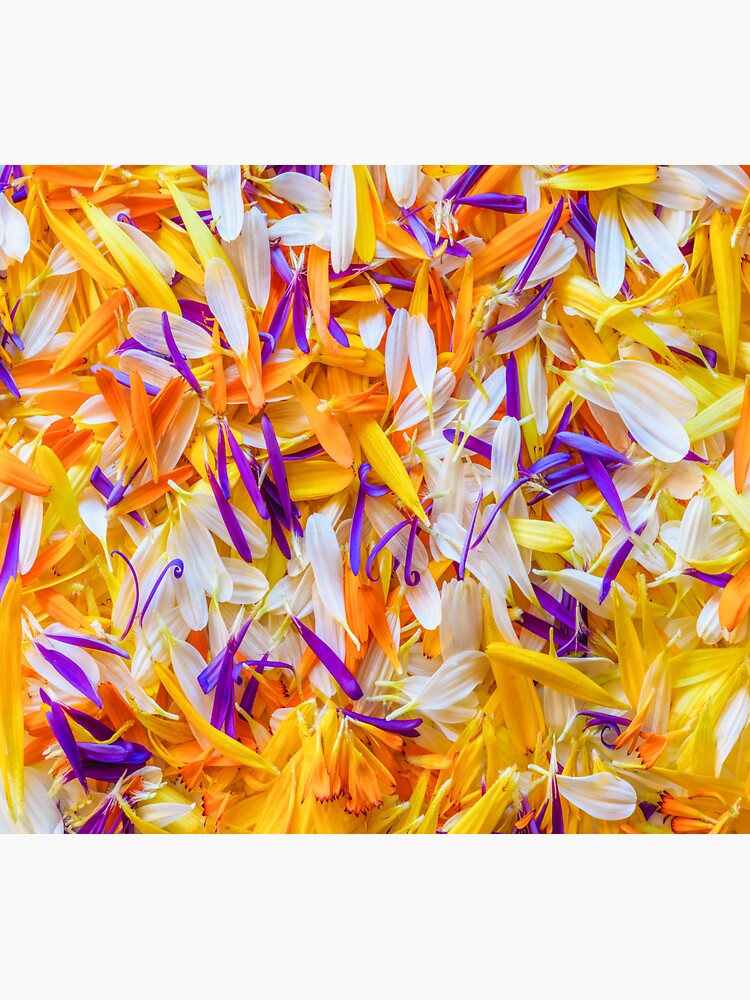 "colorful flower petals - untidy" Sticker by Hujer | Redbubble