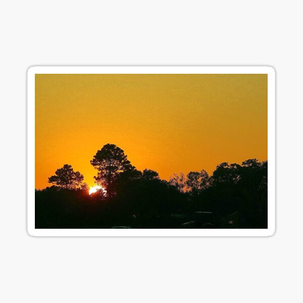 "Sunrise Design" Sticker by shalakacreats | Redbubble