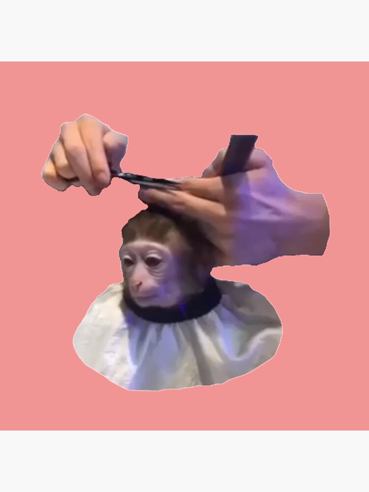 "Monkey Haircut " Coasters (Set of 4) for Sale by IronGarden | Redbubble