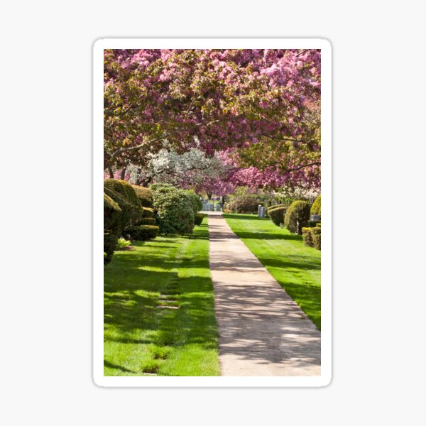 "Peaceful Pathway" Sticker by Ruthie33 | Redbubble
