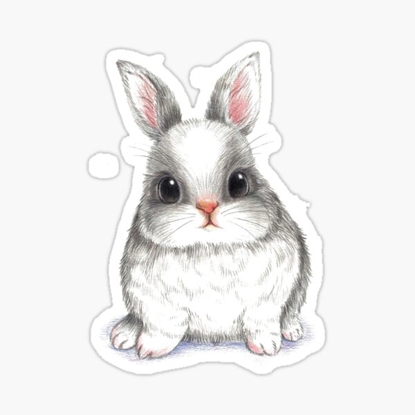 "European rabbit Drawing" Sticker by RedShop24 | Redbubble