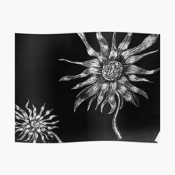 "Sunflower Scratch" Poster by DebbieYoull | Redbubble