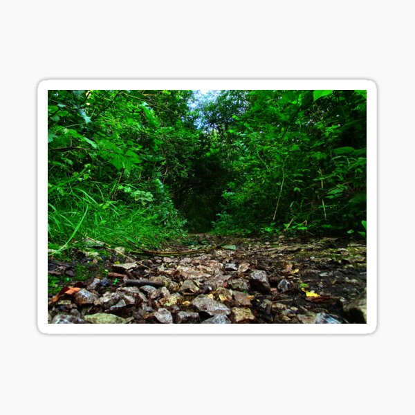 "Stone forest path" Sticker by ChloeNeko | Redbubble