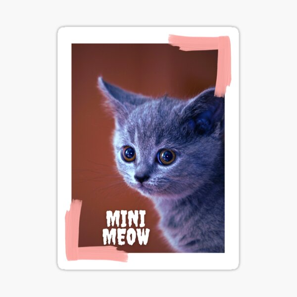 "MINI CAT" Sticker by samitt73 | Redbubble