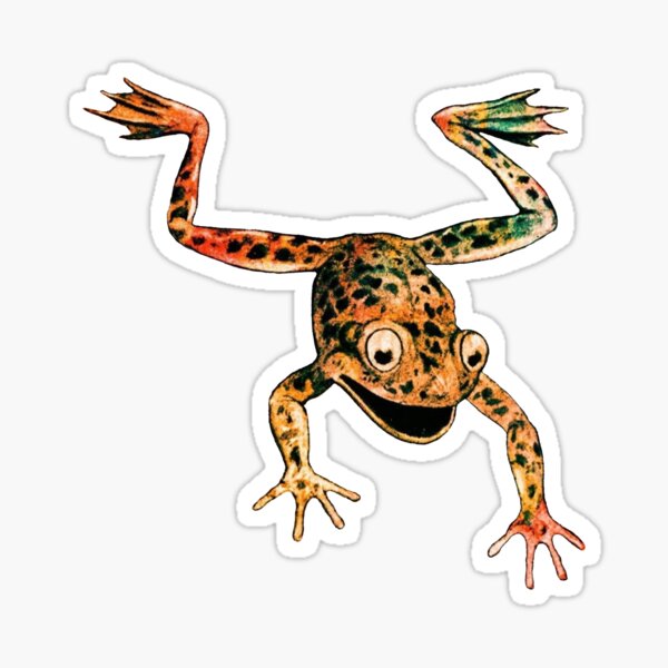 "Frog Jumping Classic Illustration " Sticker by toadsforall | Redbubble