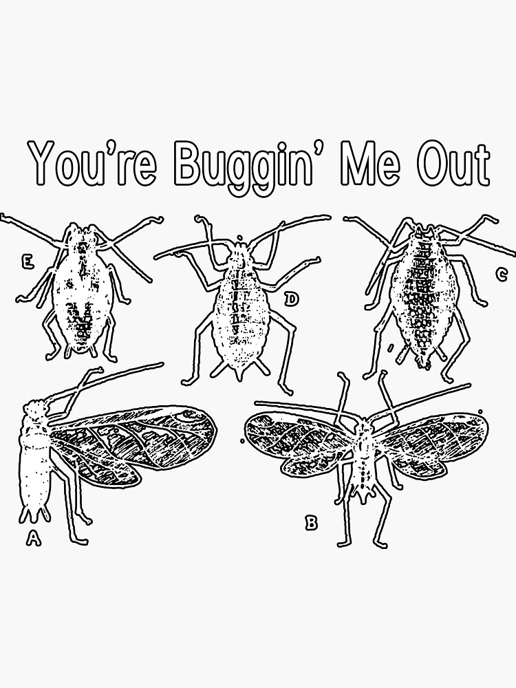 "You're BUGGIN' Me Out" Sticker for Sale by Archpress | Redbubble