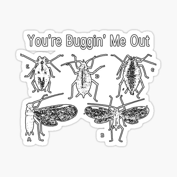 "You're BUGGIN' Me Out" Sticker for Sale by Archpress | Redbubble