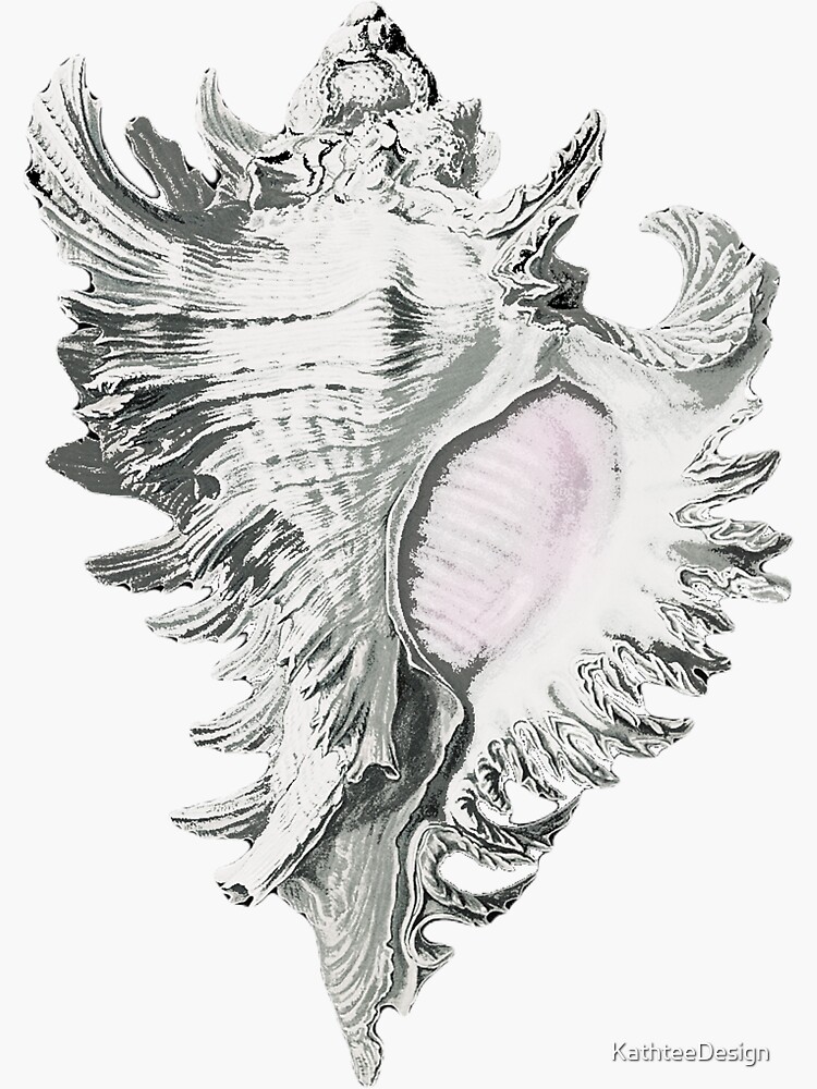 "Conch Shell" Sticker for Sale by KathteeDesign | Redbubble