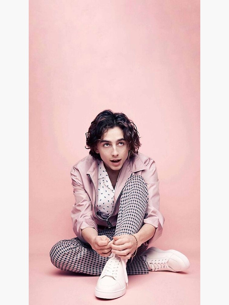 "timothee portrait model" Poster by julielasale | Redbubble