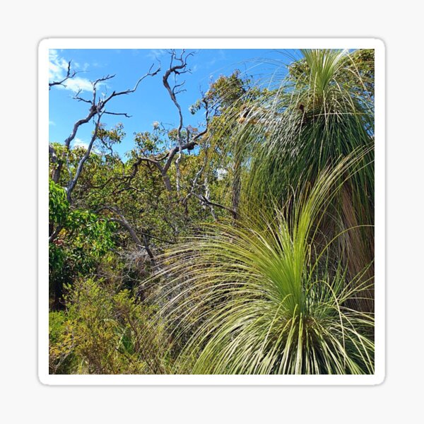 "Native Bush Designs - Australian Bush Collection Flora designs ...