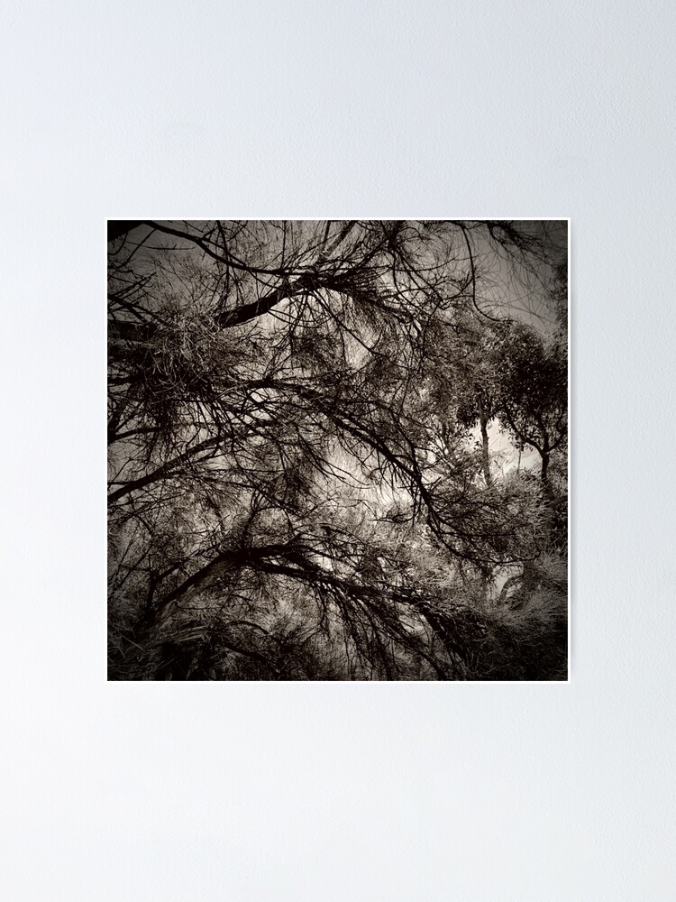 " Native Bush Designs - Australian Bush Collection Flora designs ...