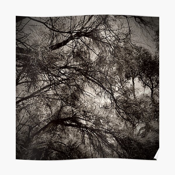 " Native Bush Designs - Australian Bush Collection Flora designs ...