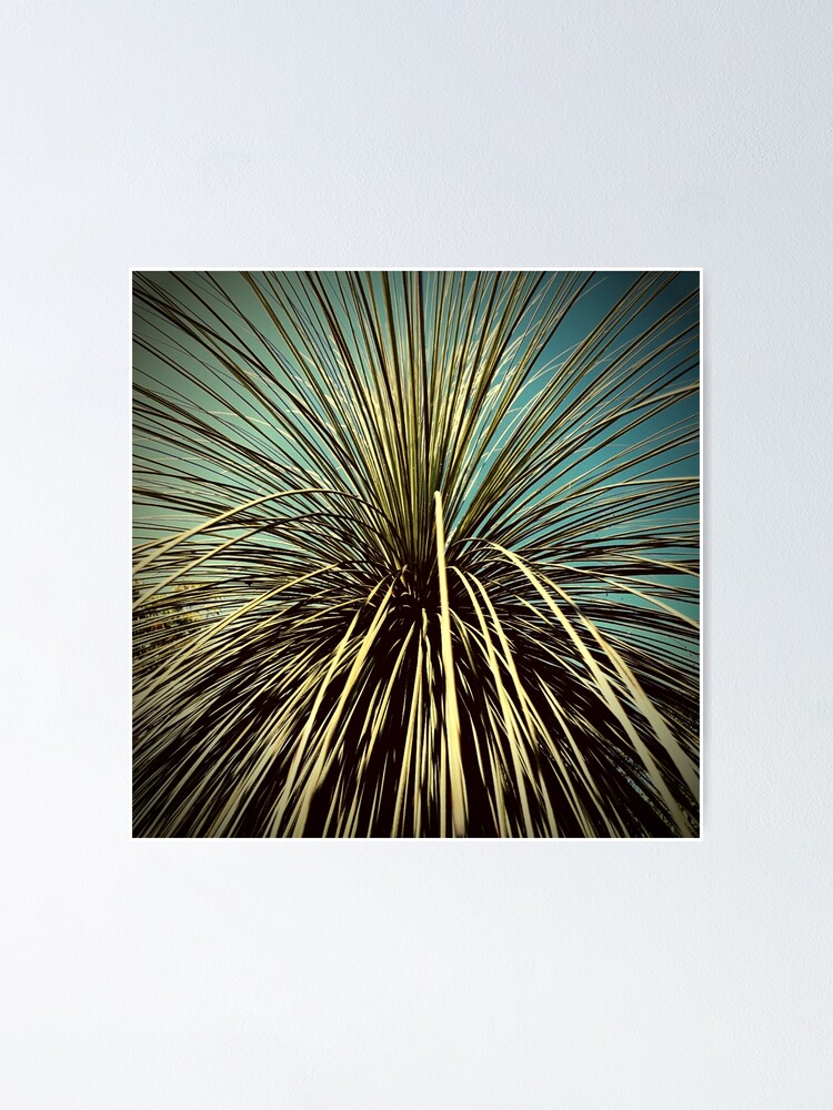 "Native Bush Designs - Australian Bush Collection Flora designs" Poster ...