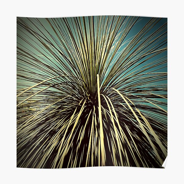 "Native Bush Designs - Australian Bush Collection Flora designs" Poster ...