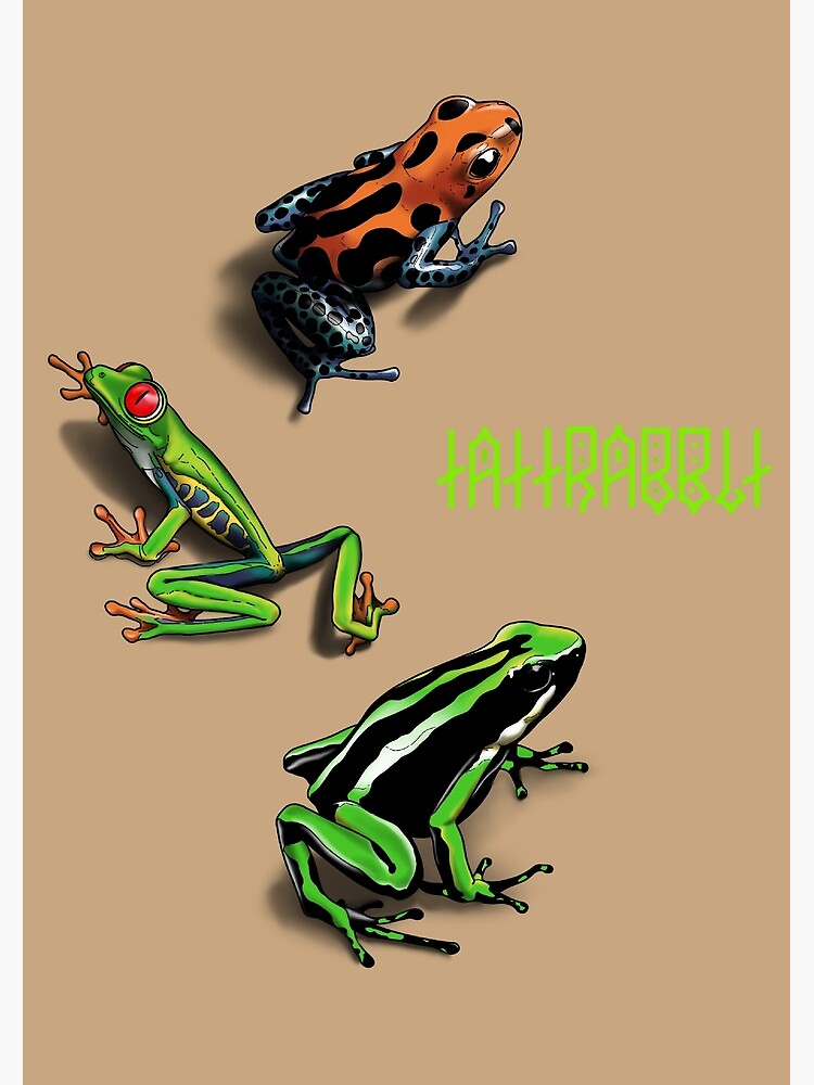 "Poisonous Frogs" Poster for Sale by TattRabbit | Redbubble