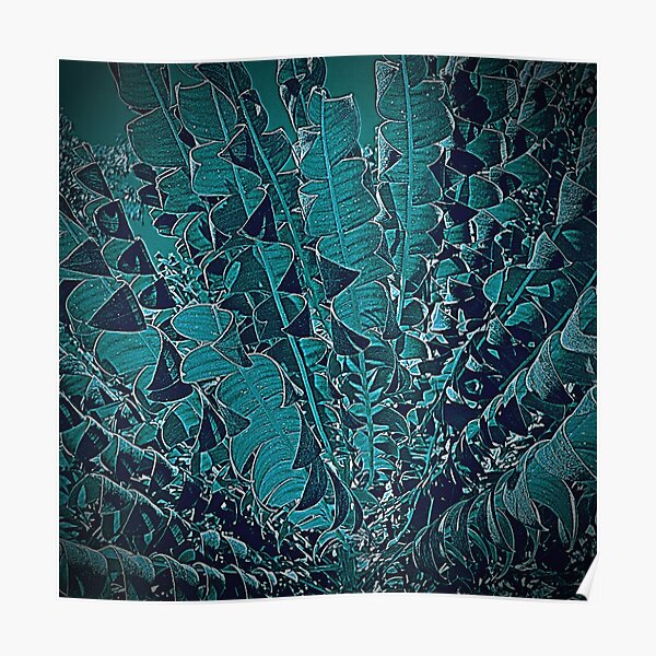 "Native Bush Designs - Australian Bush Collection Flora designs" Poster ...