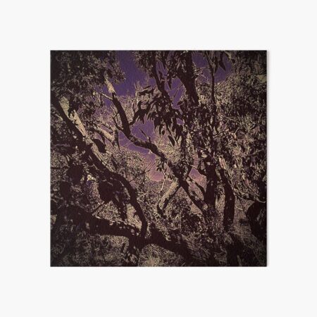 " Native Bush Designs - Australian Bush Collection Flora designs" Art ...