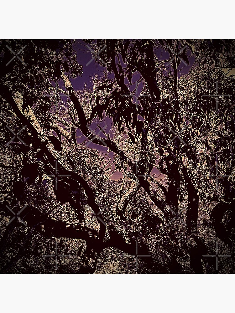 " Native Bush Designs - Australian Bush Collection Flora designs ...