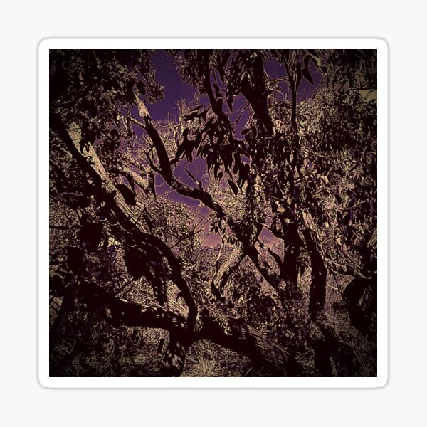 " Native Bush Designs - Australian Bush Collection Flora designs ...