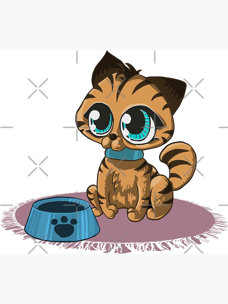 Lámina fotográfica «Gato con grandes ojos azules quiere algo de comida ...