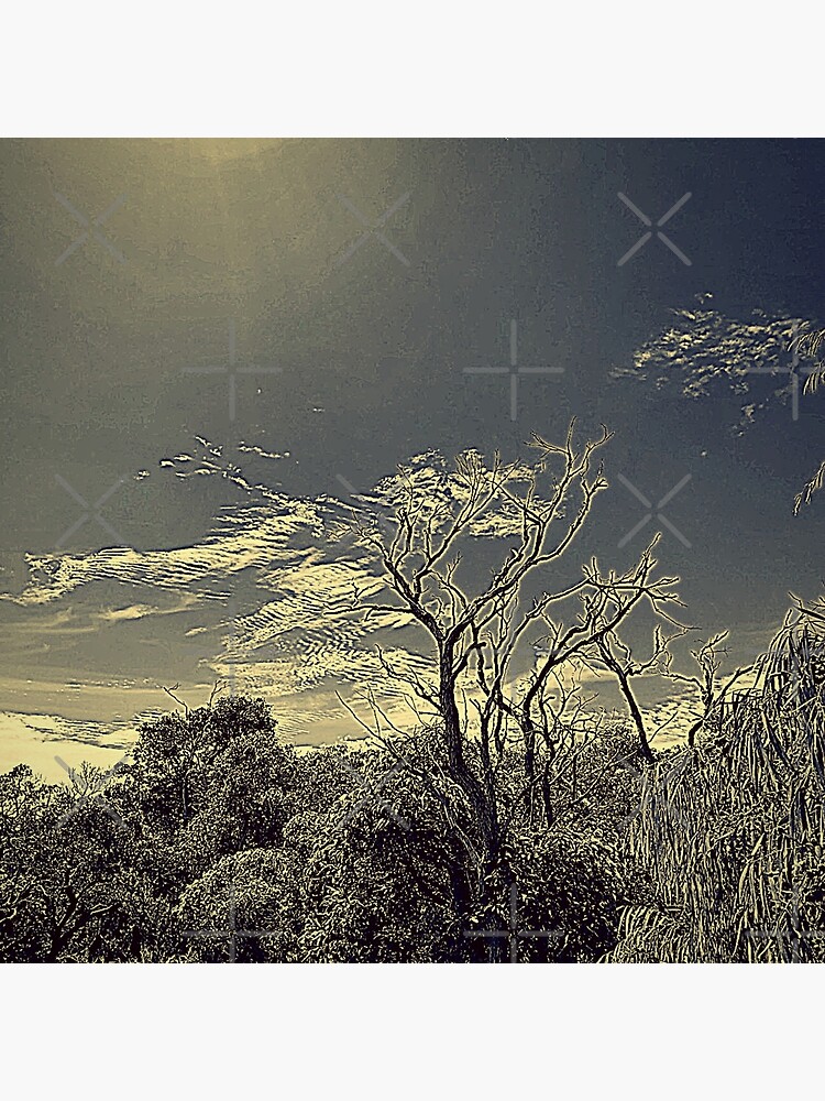 "Native Bush Designs - Australian Bush Collection Flora designs" Poster ...