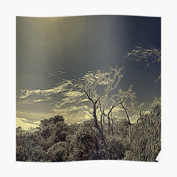 "Native Bush Designs - Australian Bush Collection Flora designs" Poster ...