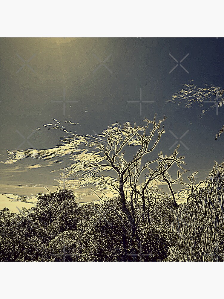 "Native Bush Designs - Australian Bush Collection Flora designs ...