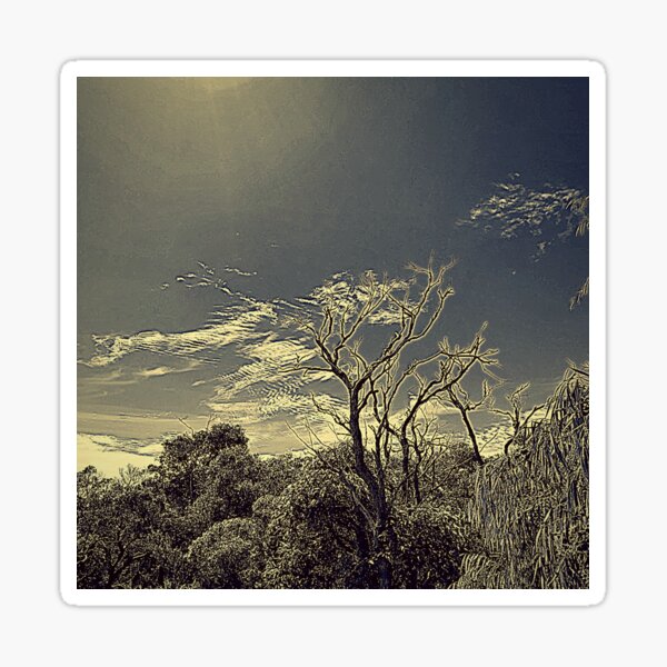 "Native Bush Designs - Australian Bush Collection Flora designs ...