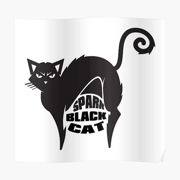 "Spark Angry Black Cat " Poster for Sale by NNzStore | Redbubble