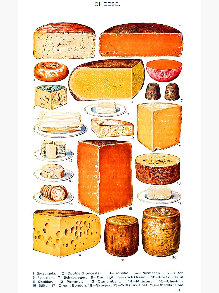 "Love Cheese Chart" Poster for Sale by Ashleleathers | Redbubble