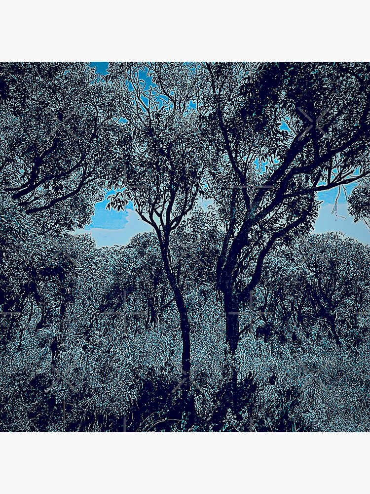 "Native Bush Designs - Australian Bush Collection Flora designs" Poster ...