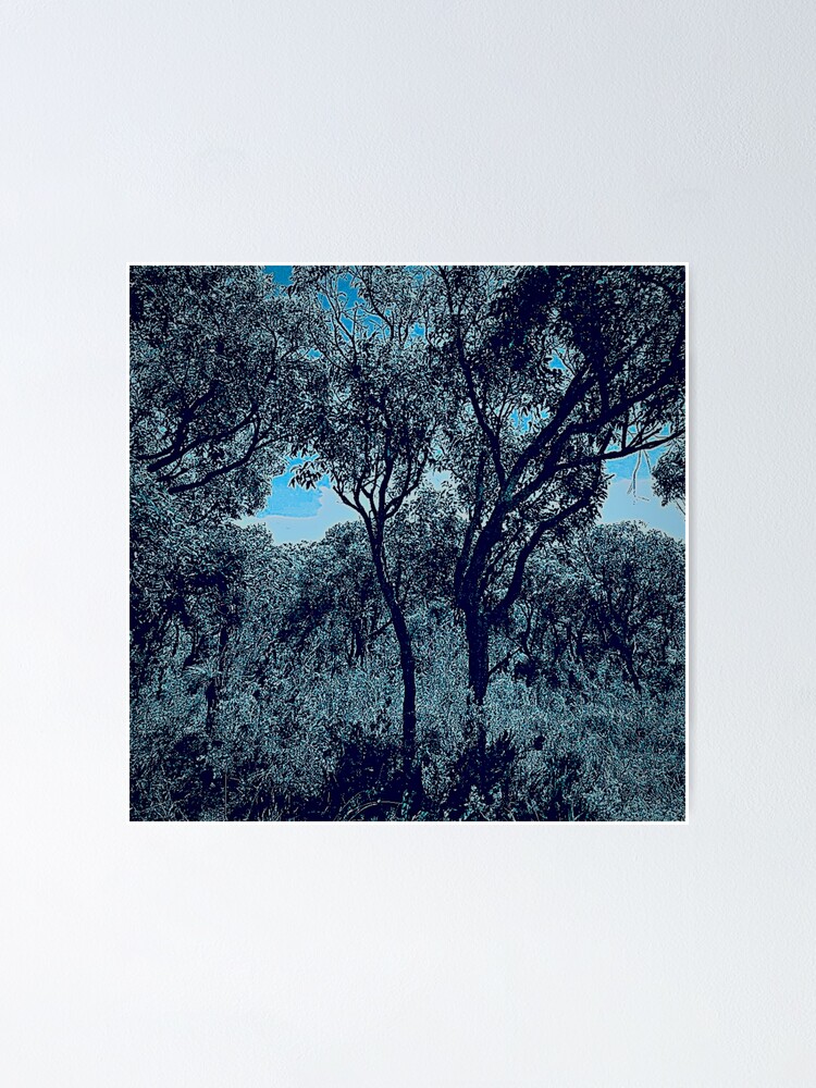 "Native Bush Designs - Australian Bush Collection Flora designs" Poster ...