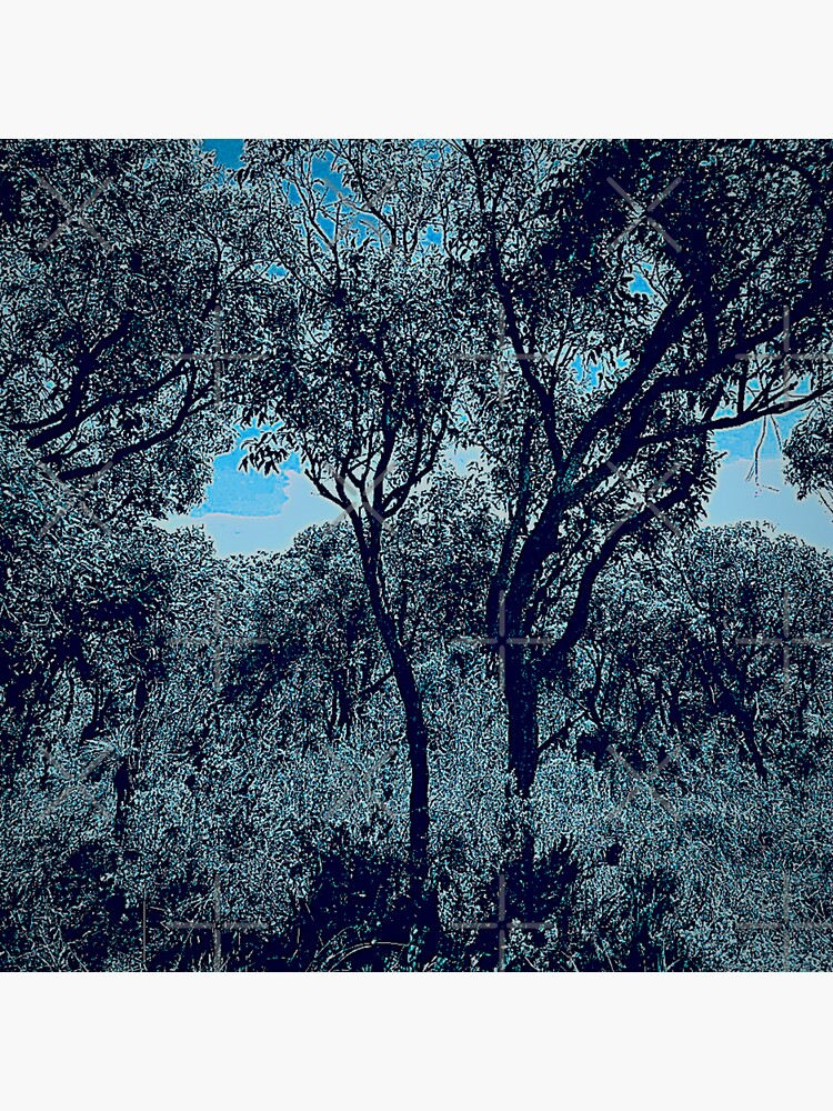 "Native Bush Designs - Australian Bush Collection Flora designs ...