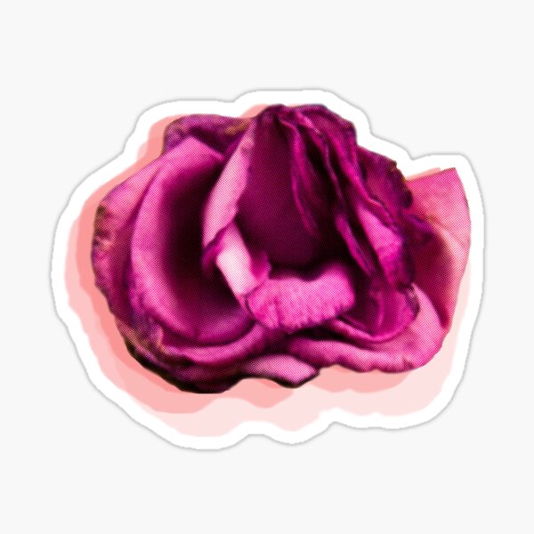 "Pink Flower Rose Pretty Bright Pink Rose" Sticker by deskwhiskey ...