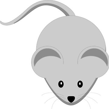 "Cute Silly Cartoon Gray Mouse Animal - Funny Animals T Shirts And ...