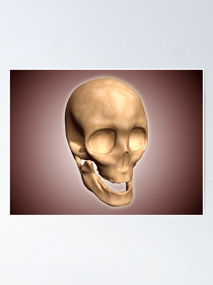 "Conceptual image of human skull, perspective view." Poster for Sale by ...