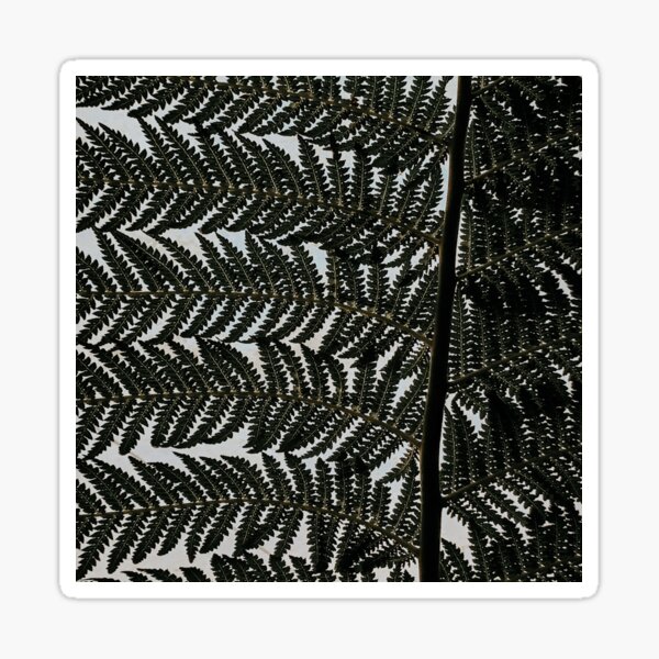 "plant leaves green canopy " Sticker by lolagrr | Redbubble